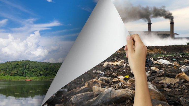 A Comprehensive Guide for Paperback Book Printers